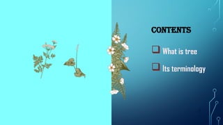-Tree-and-Its-Terminology-Ppt.pptx, tree traversal | PPTX