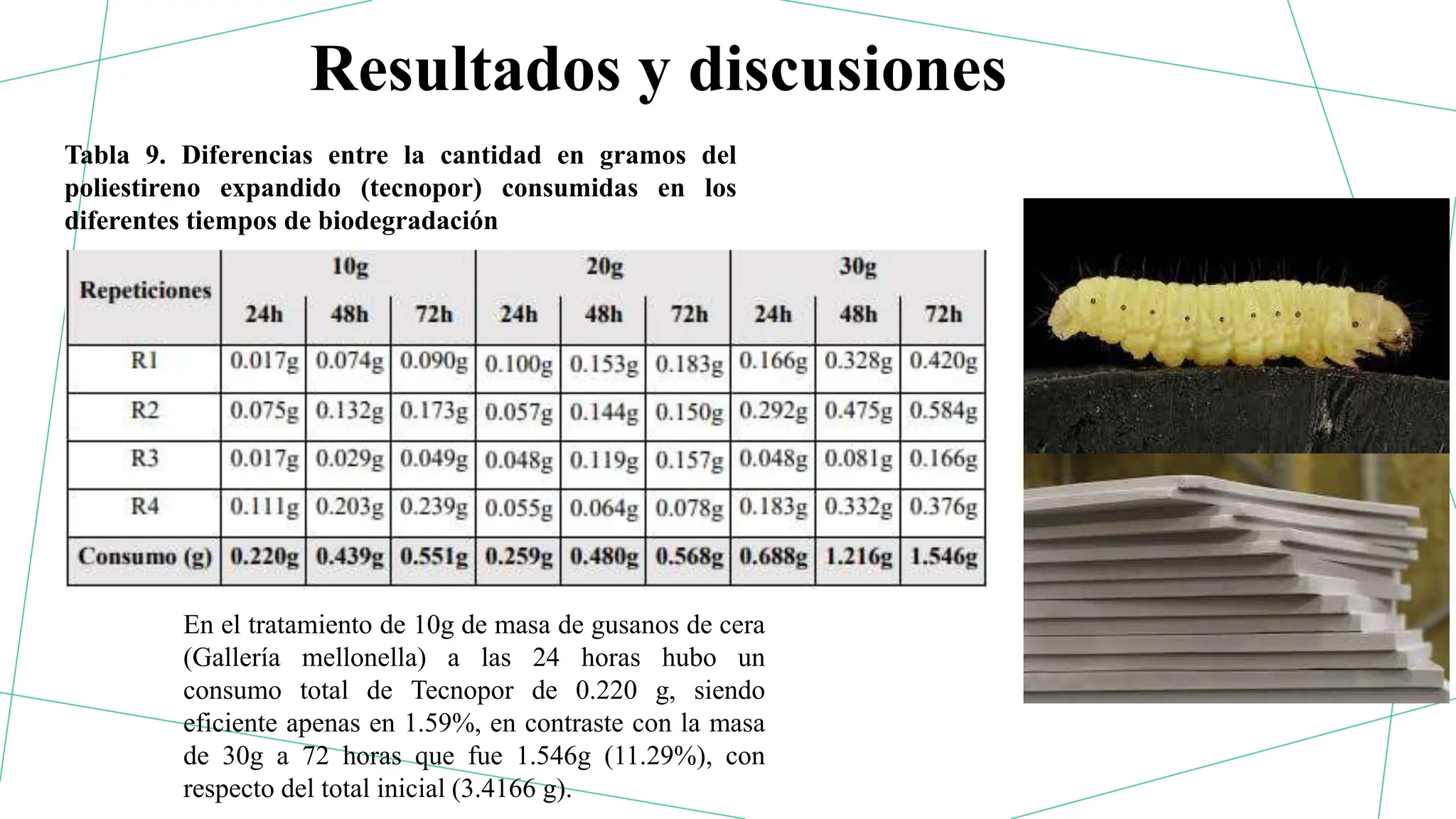 726630881-PRODUCCION-HIDROPONICA-DE-HORTALIZAS-DE-HOJA-PPT-FINAL ...