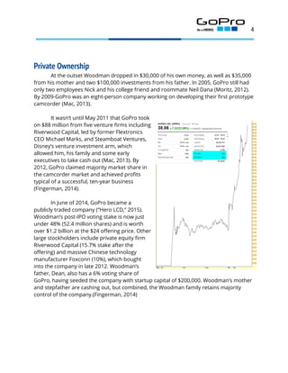 GoProfinalbrandaudit | PDF