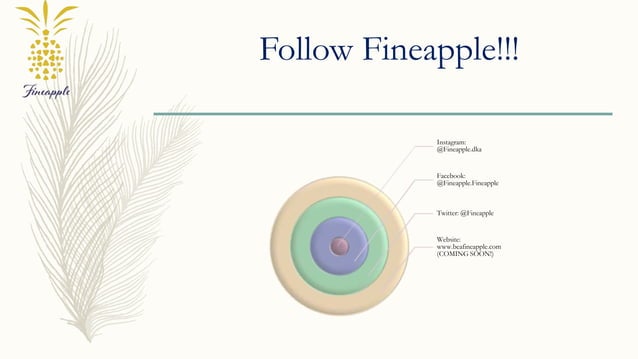 Fineapple Presentation 11.30.16