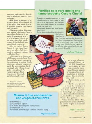 Il mistero della trasformazione dell’uva nera in vino bianco | PDF