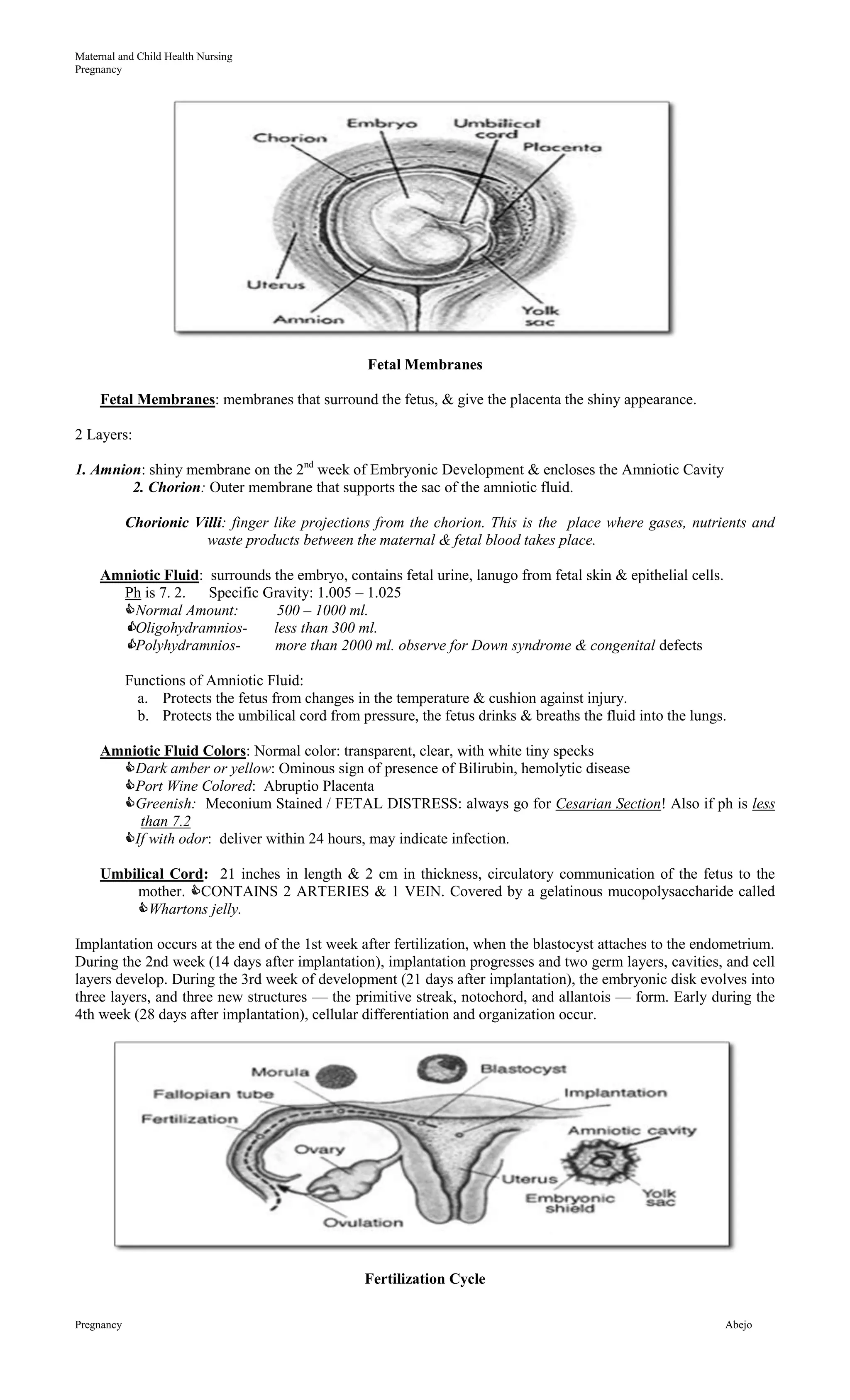 Pregnancy Handouts | PDF