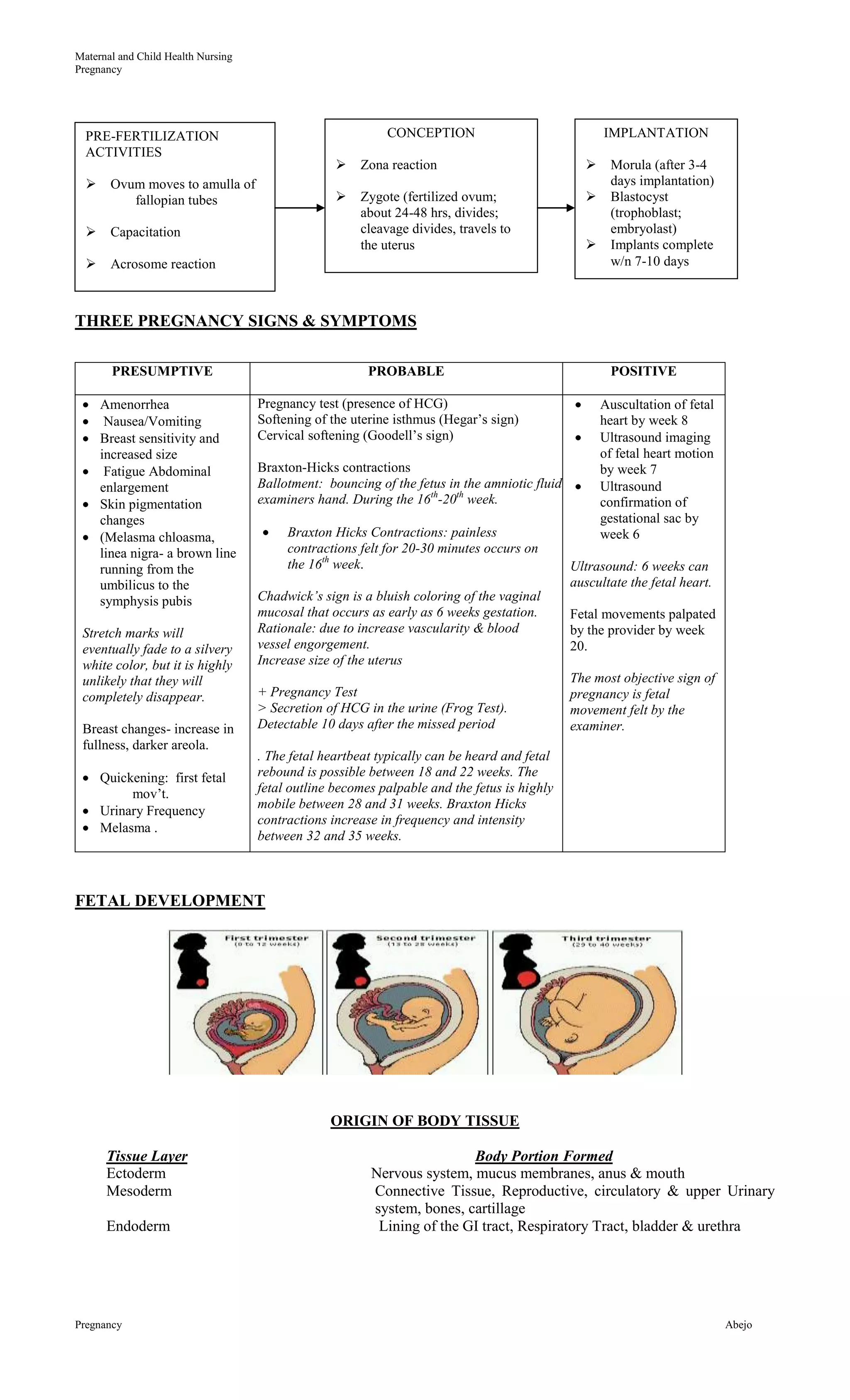Pregnancy Handouts | PDF