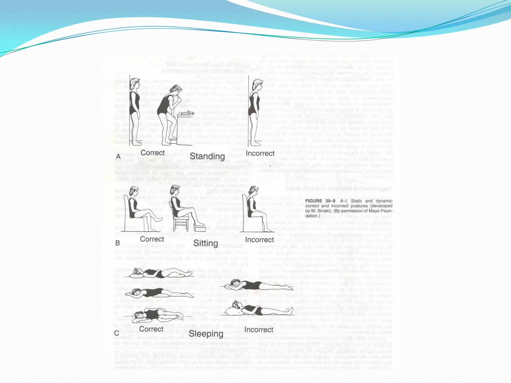 Mobility and Immobility | PDF
