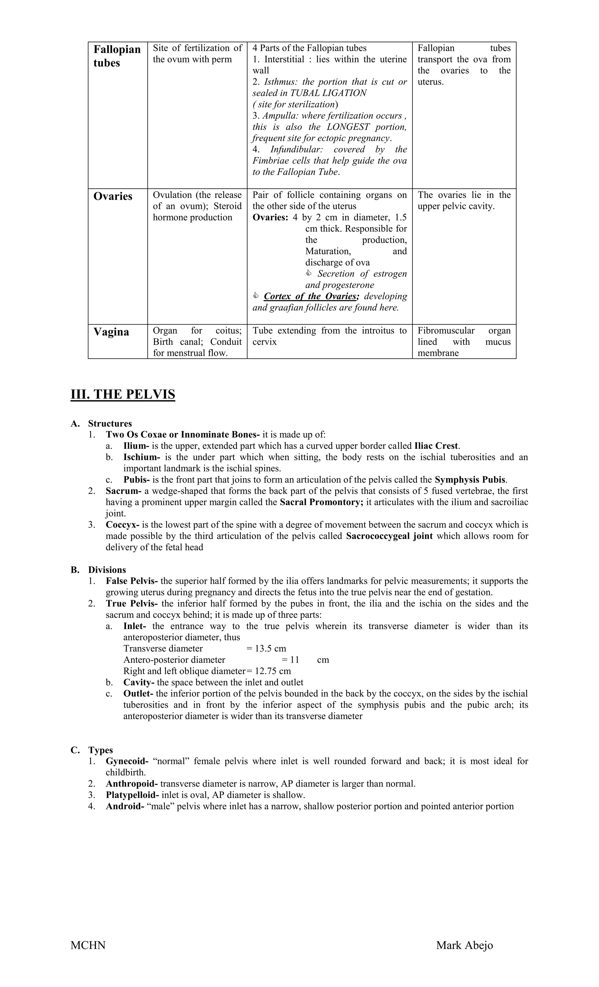 Anatomy Reproductive System | PDF
