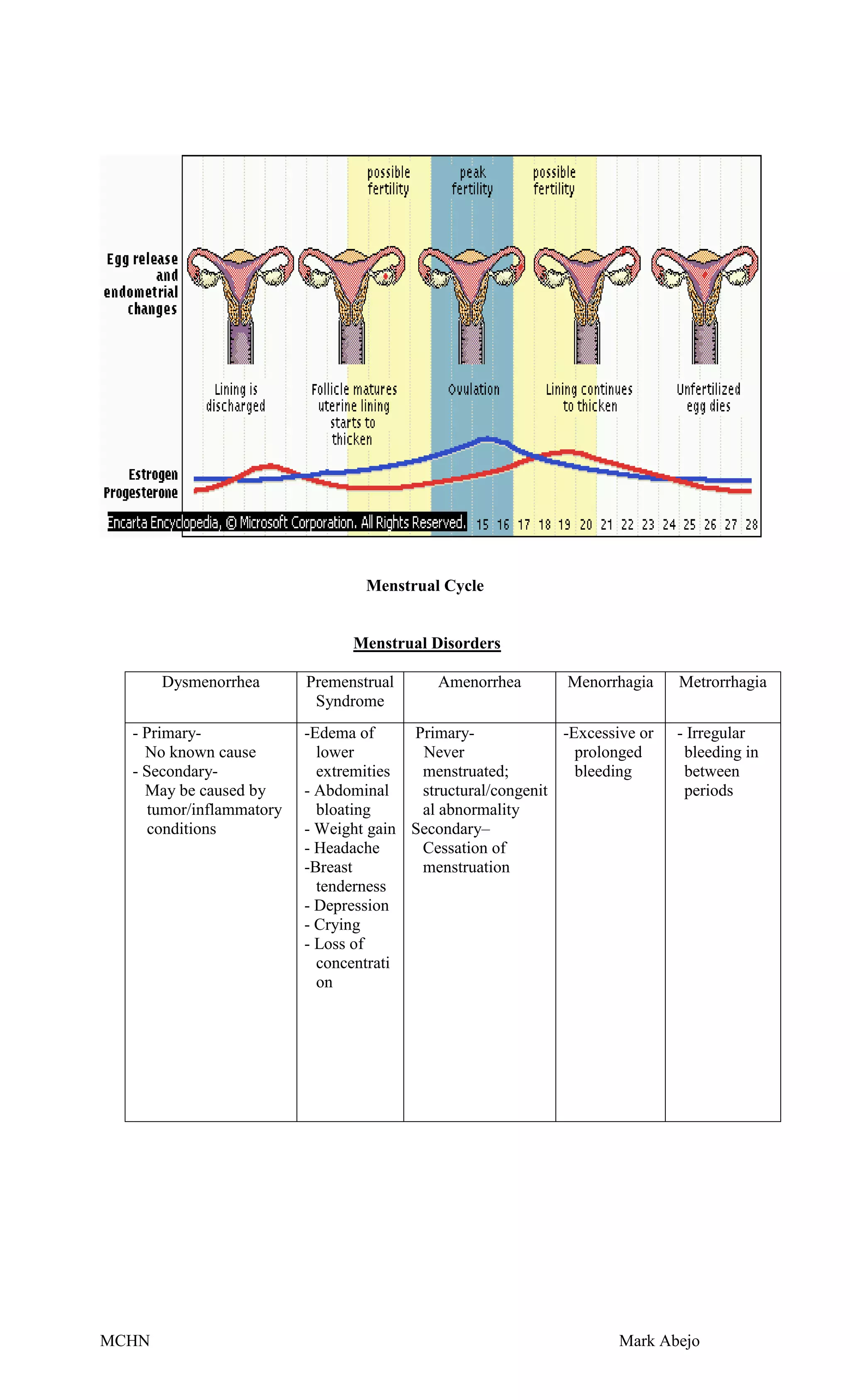 Anatomy Reproductive System | PDF