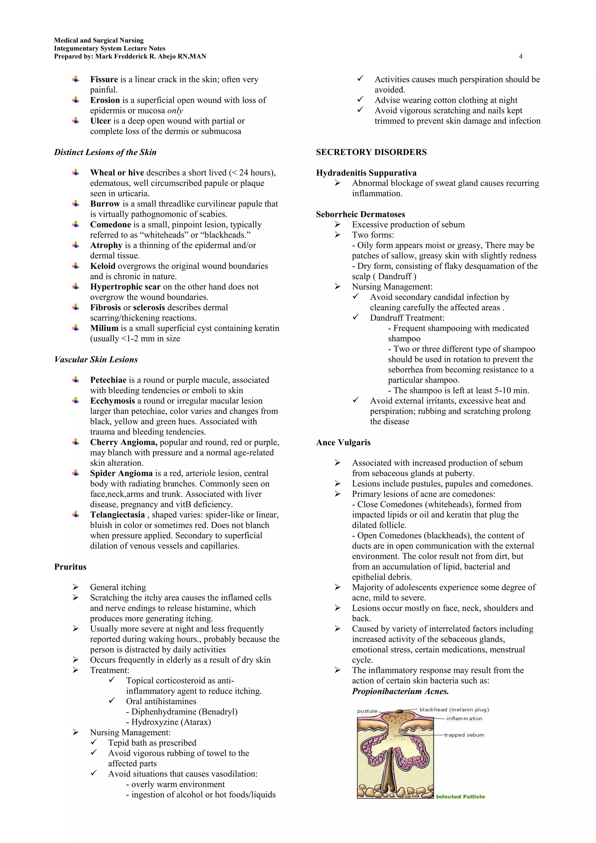 Integumentary Handouts | PDF