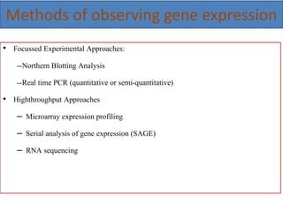Role of transcriptomics in gene expression studies and | PPTX