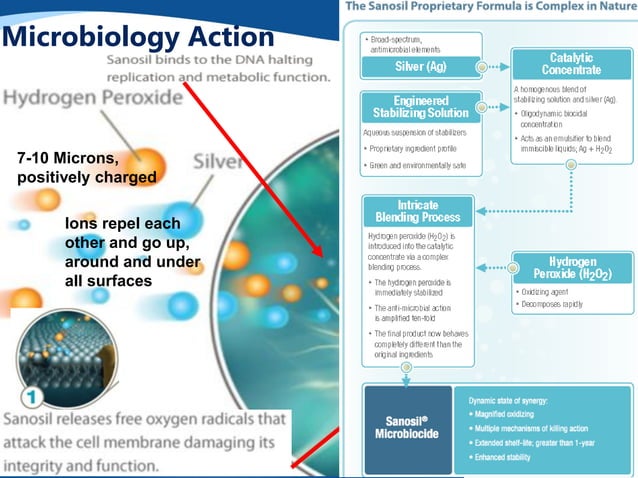 Critical Brief on Halo Bioload Reduction 102214 | PPT | Free Download