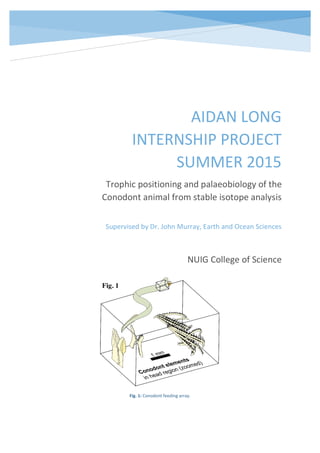Aidan Long summer internship project report 2015 (college of science NUIG) JM | PDF
