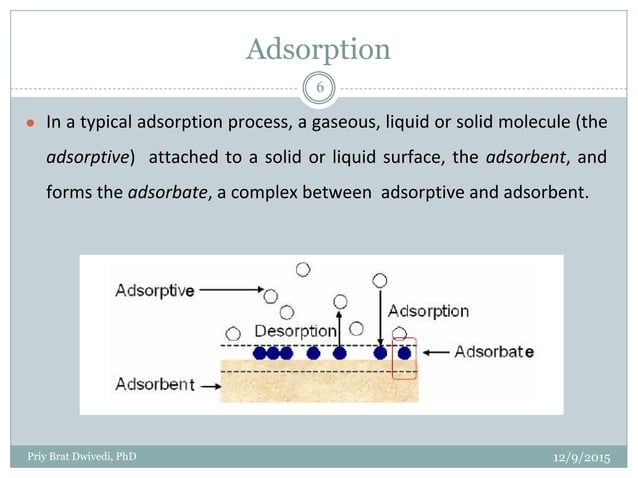 Kinetics & Modeling of Adsorption Process.pptx | Physics | Science