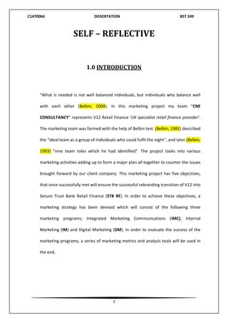 Self Reflective Report | PDF