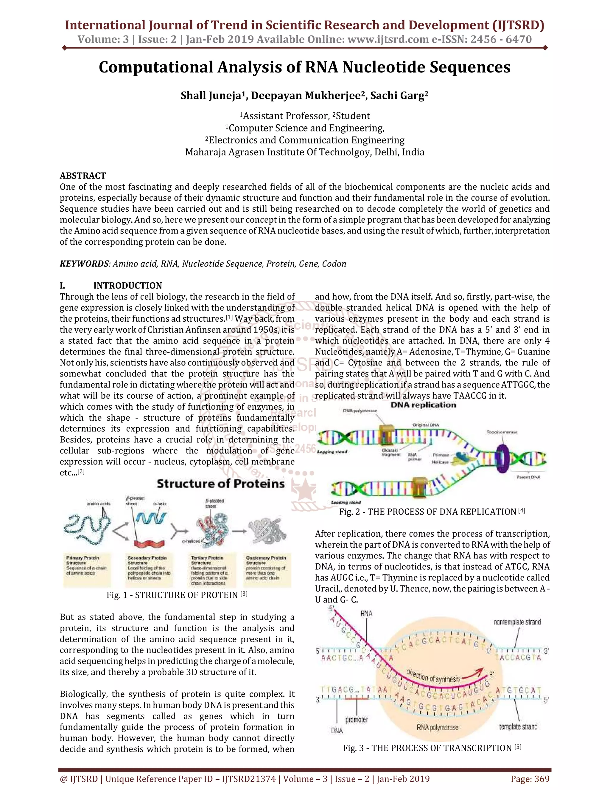 Computational Analysis of RNA Nucleotide Sequences | PDF