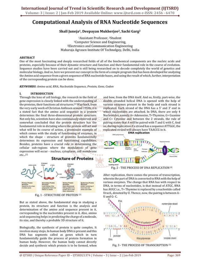 Computational Analysis of RNA Nucleotide Sequences | PDF