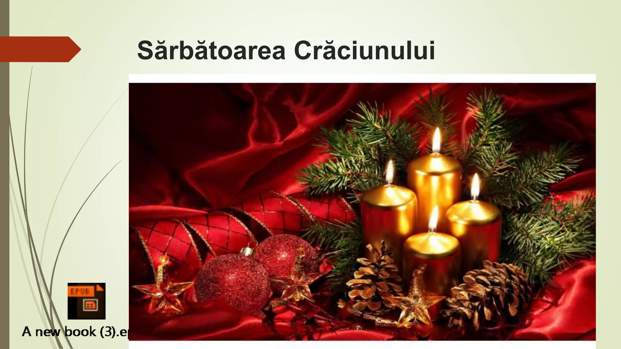 Raport proiect Șendreni.pptx