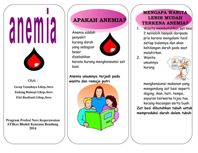 Leaflet anemia 1 oke | PPT