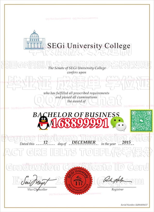 SEGi University Diploma Degree Transcript | PDF