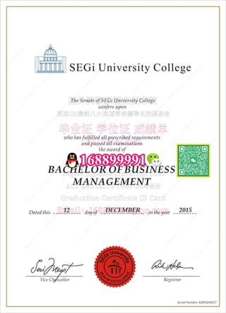 SEGi University Diploma Degree Transcript | PDF