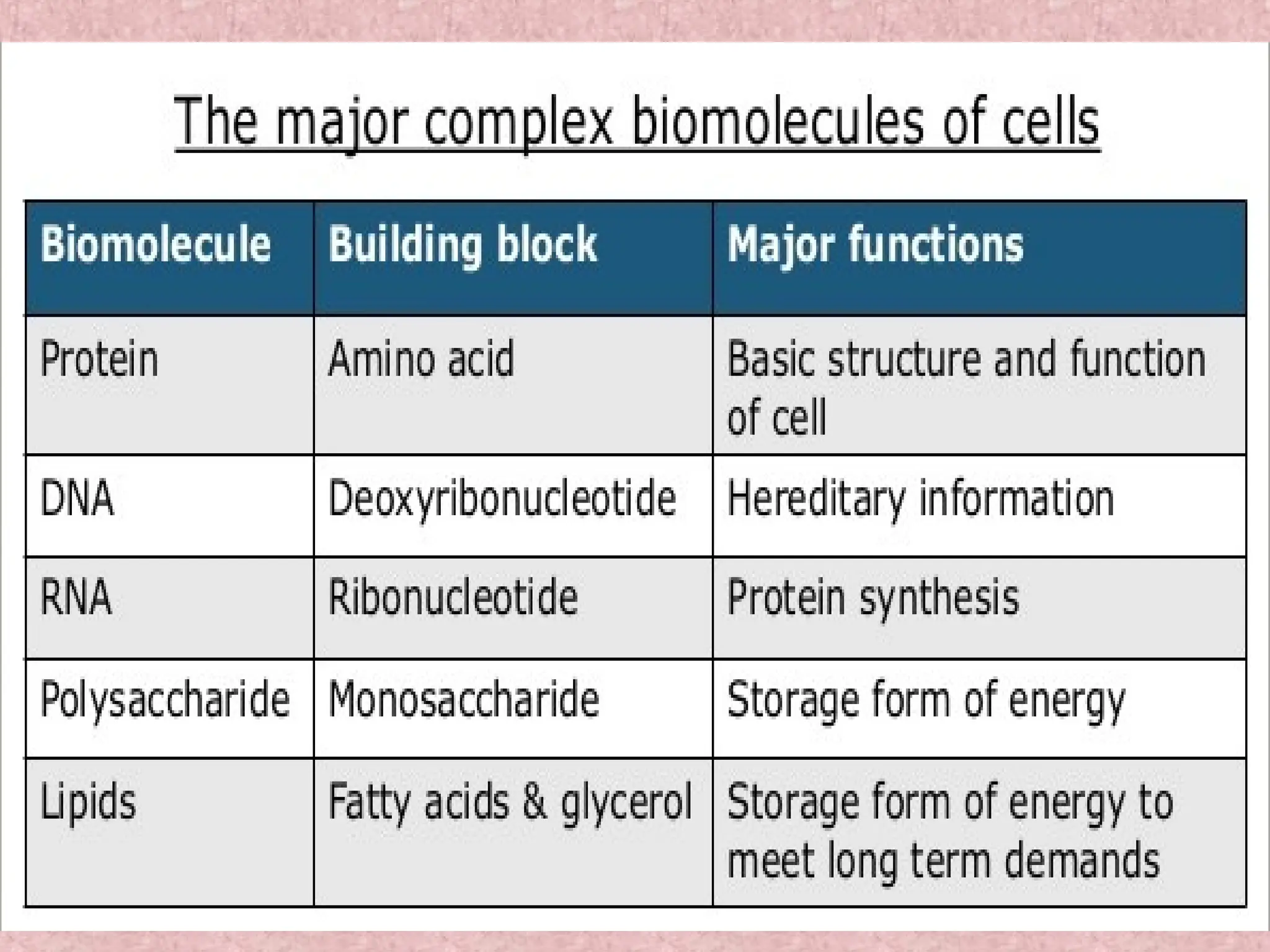 Biomolecules Module Carbohydrates Lipids Proteins and Nucleic Acid.ppt