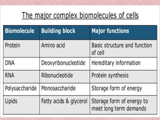 Biomolecules Module Carbohydrates Lipids Proteins and Nucleic Acid.ppt