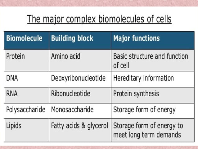 Biomolecules Module Carbohydrates Lipids Proteins and Nucleic Acid.ppt