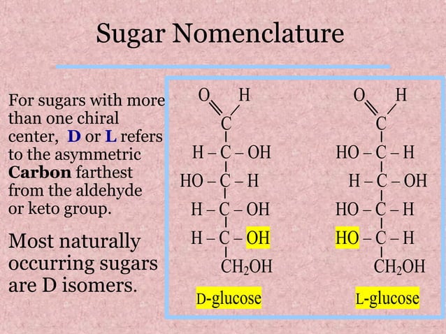 Biomolecules Module Carbohydrates Lipids Proteins and Nucleic Acid.ppt