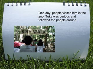 Tuka | PPT