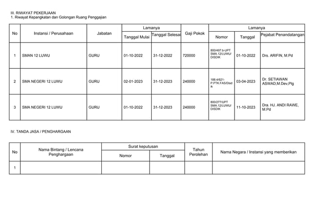 Curiculum vitae ppppk exampleeeeeeeeeeee | PDF