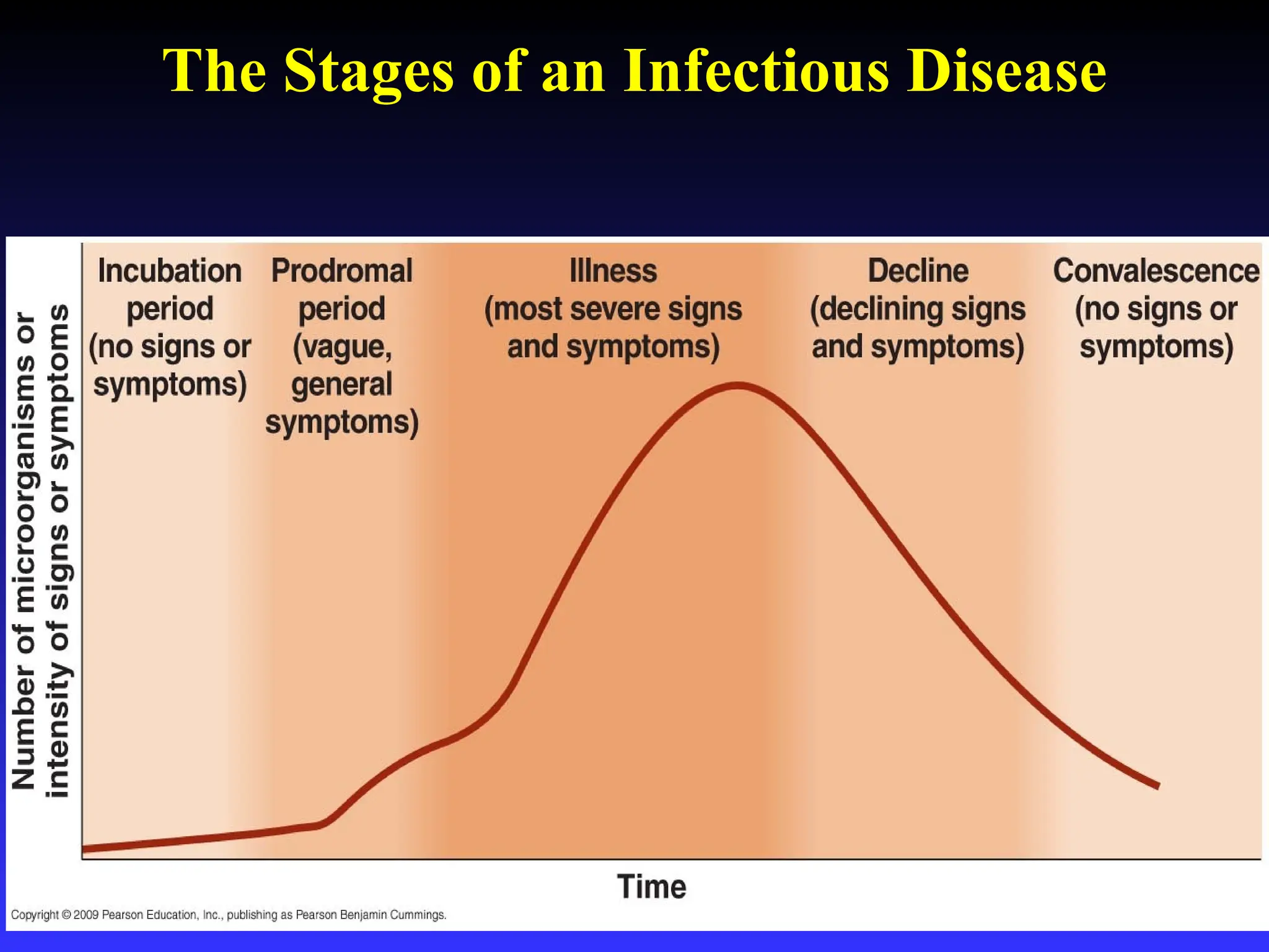 Infection, Infectious Diseases and epidemiology | PPT