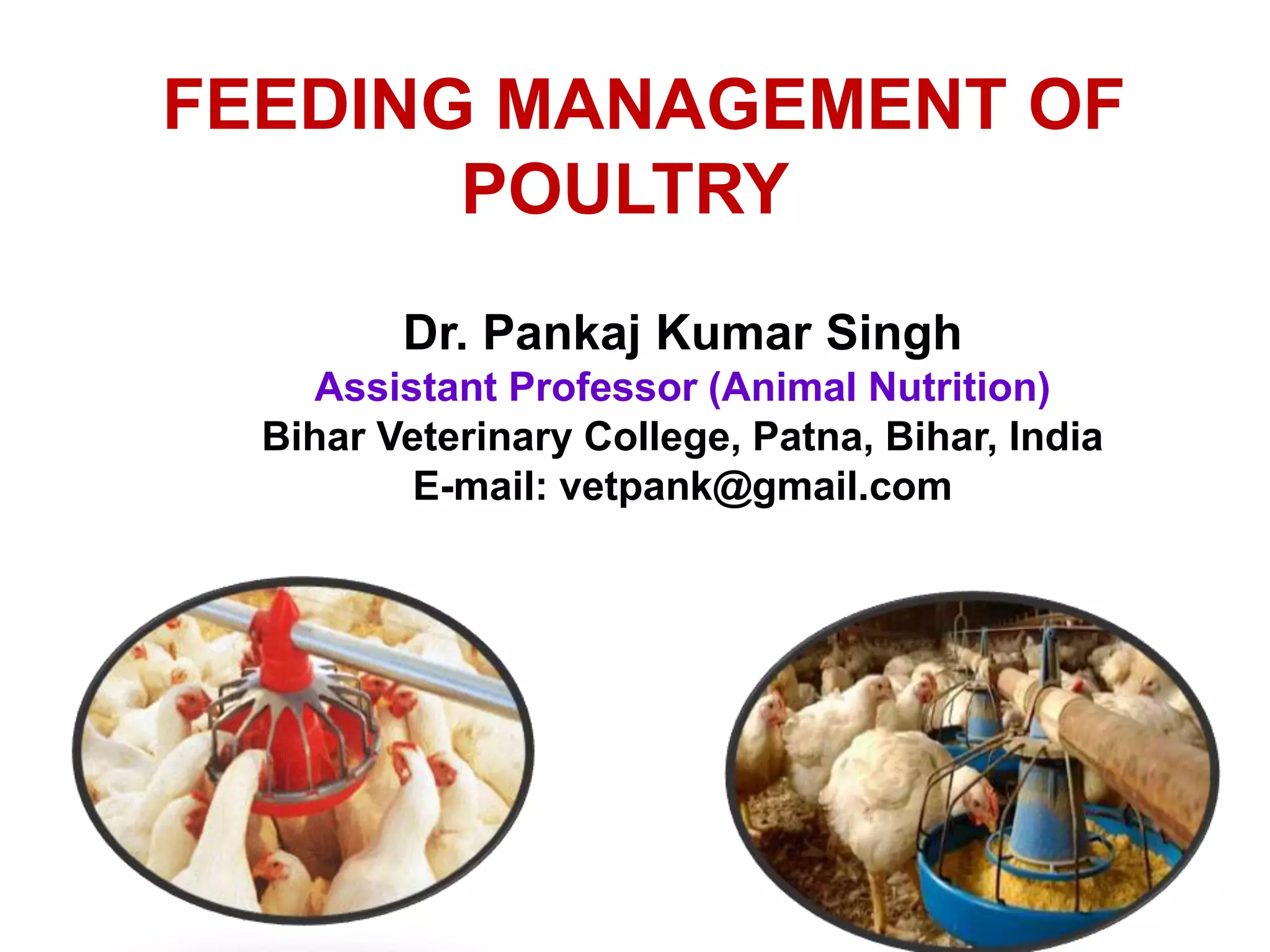 Feeding management of poultry | PPTX
