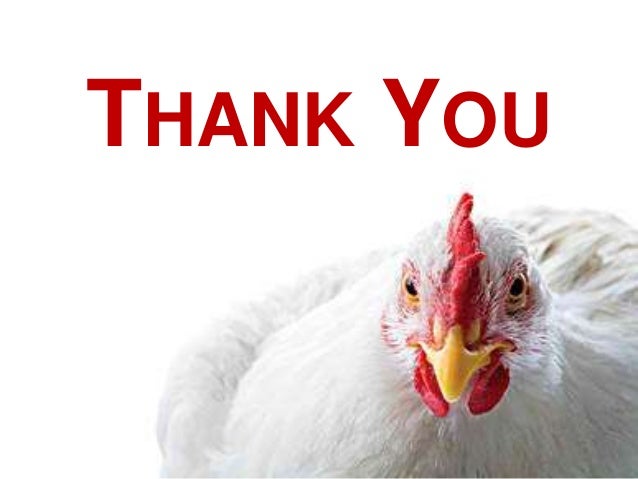 Feeding management of poultry