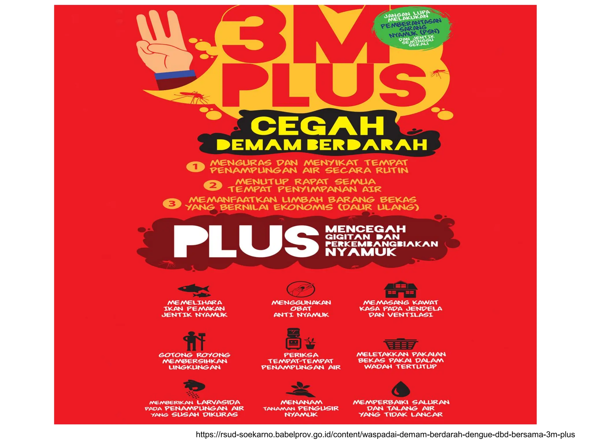 733697570-Dengue-Infection-Robert-Sinto-2024.pdf