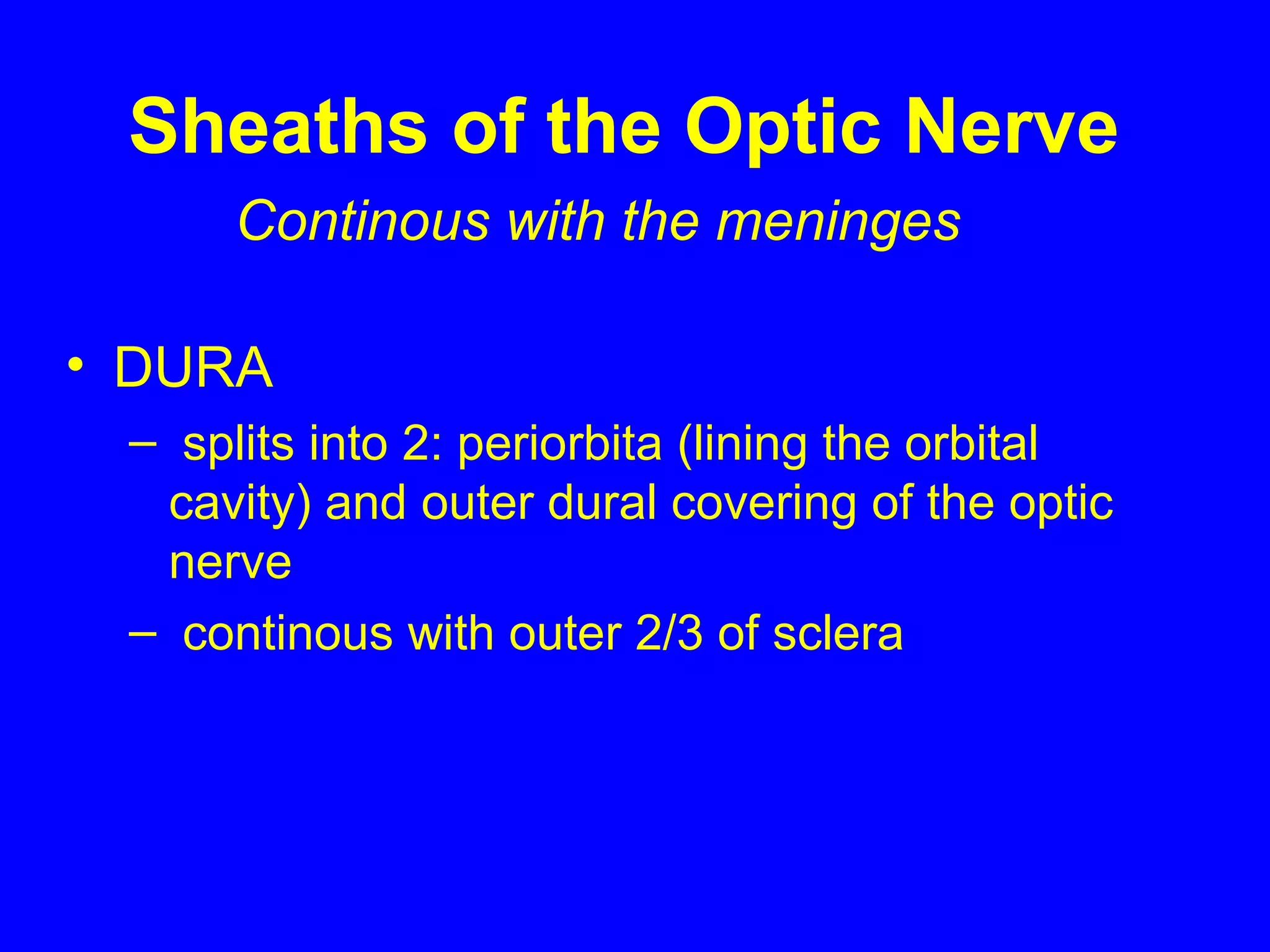 7344134 ophtha-neuro-ophthalmology | PPT