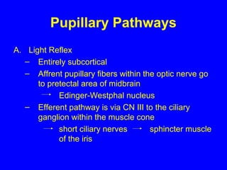 7344134 ophtha-neuro-ophthalmology | PPT