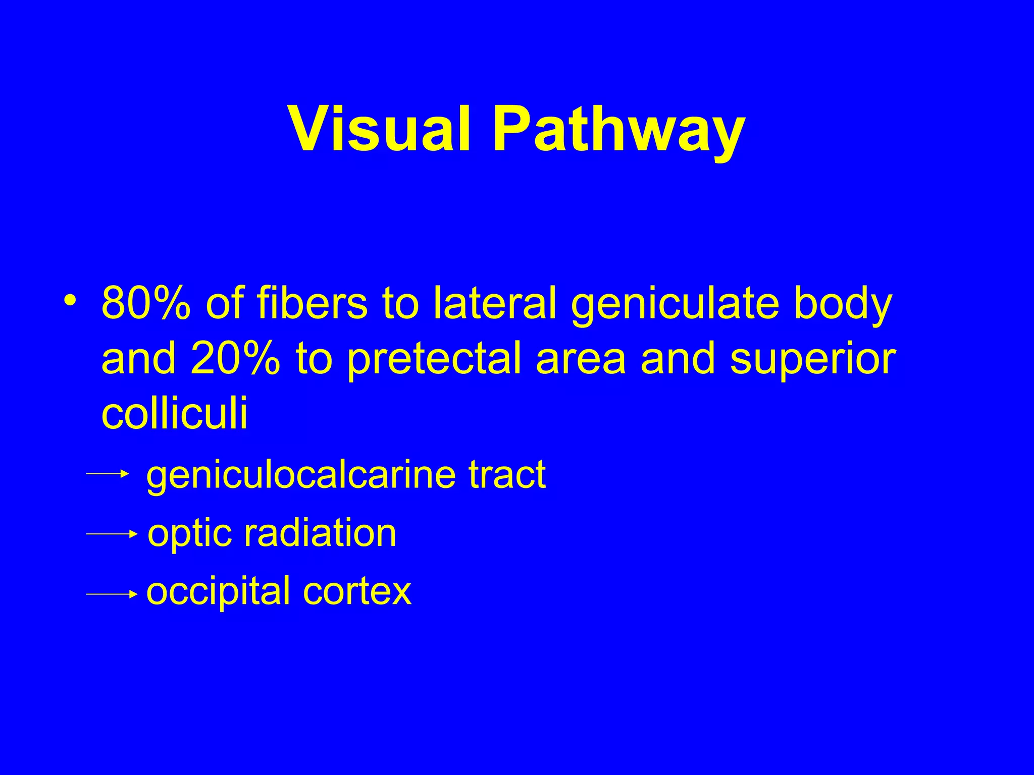 7344134-ophtha-neuro-ophthalmology-160125202855 (1).pdf