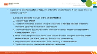 734683839-MCE-IGCSE-Biology-PPT-C10-1.pptx