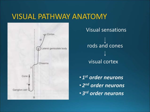 734_Visual_Pathway_lesions.pptx