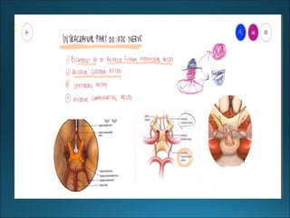 734_Visual_Pathway_lesions AND ANATOMY.ppt