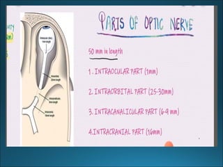 734_Visual_Pathway_lesions AND ANATOMY.ppt