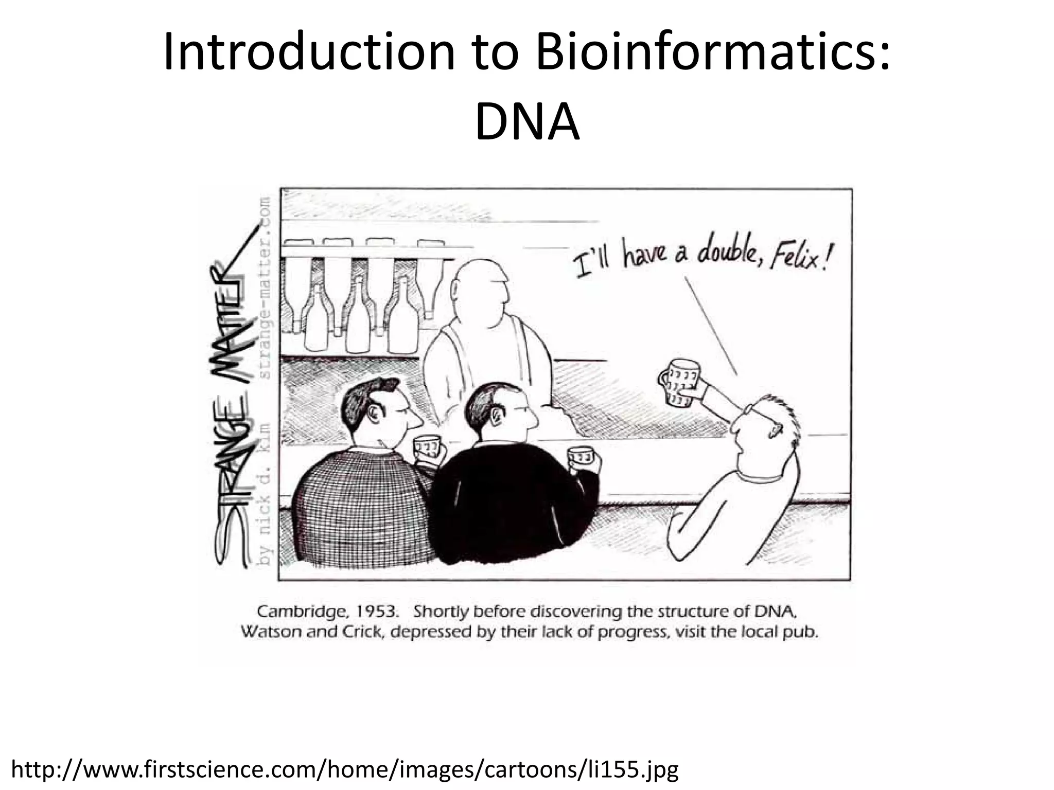 Introduction to Bioinformatics | PDF
