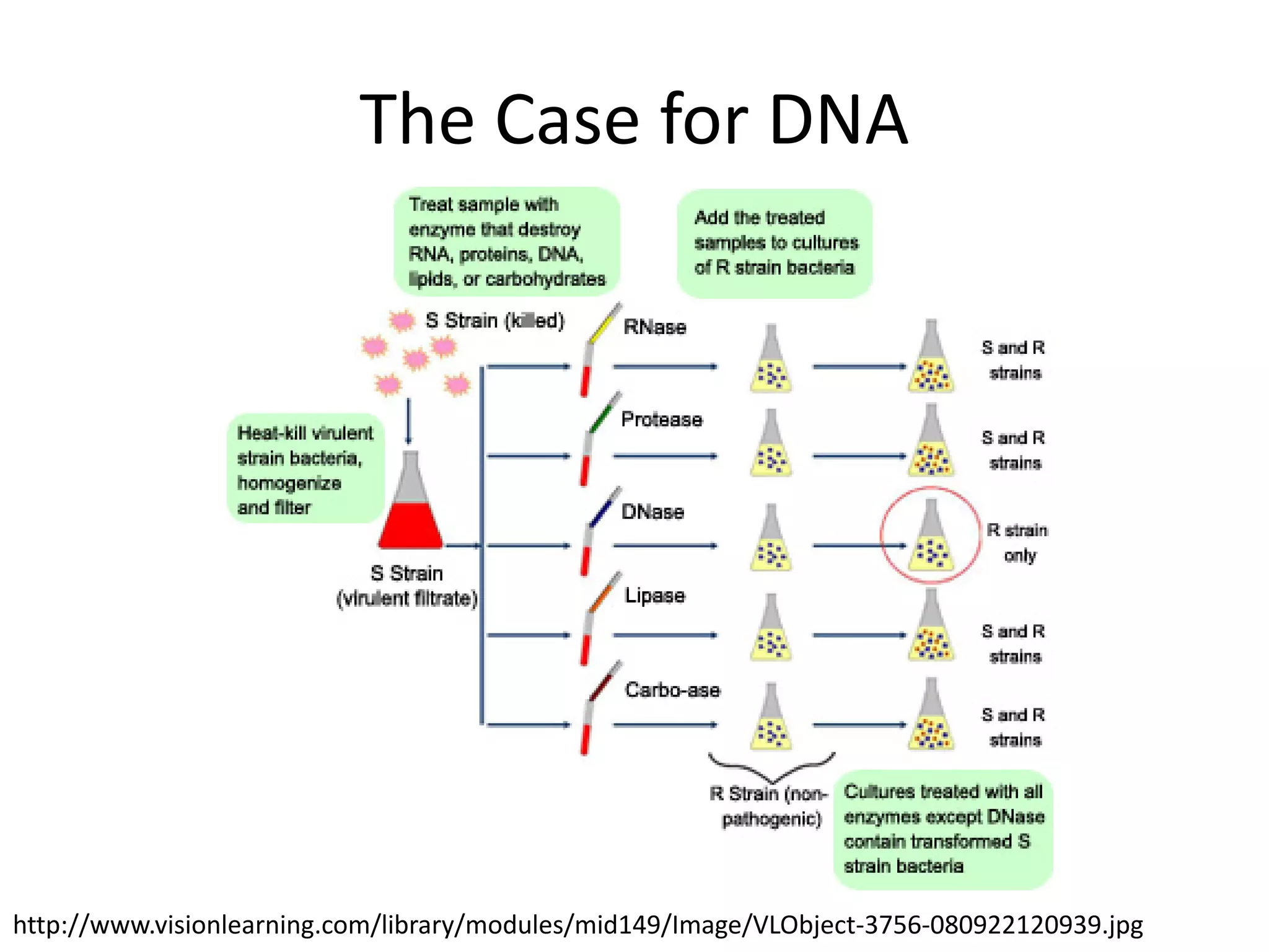Introduction to Bioinformatics | PDF
