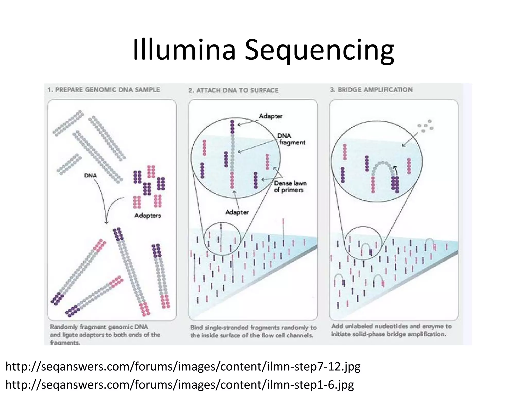 Introduction to Bioinformatics | PDF