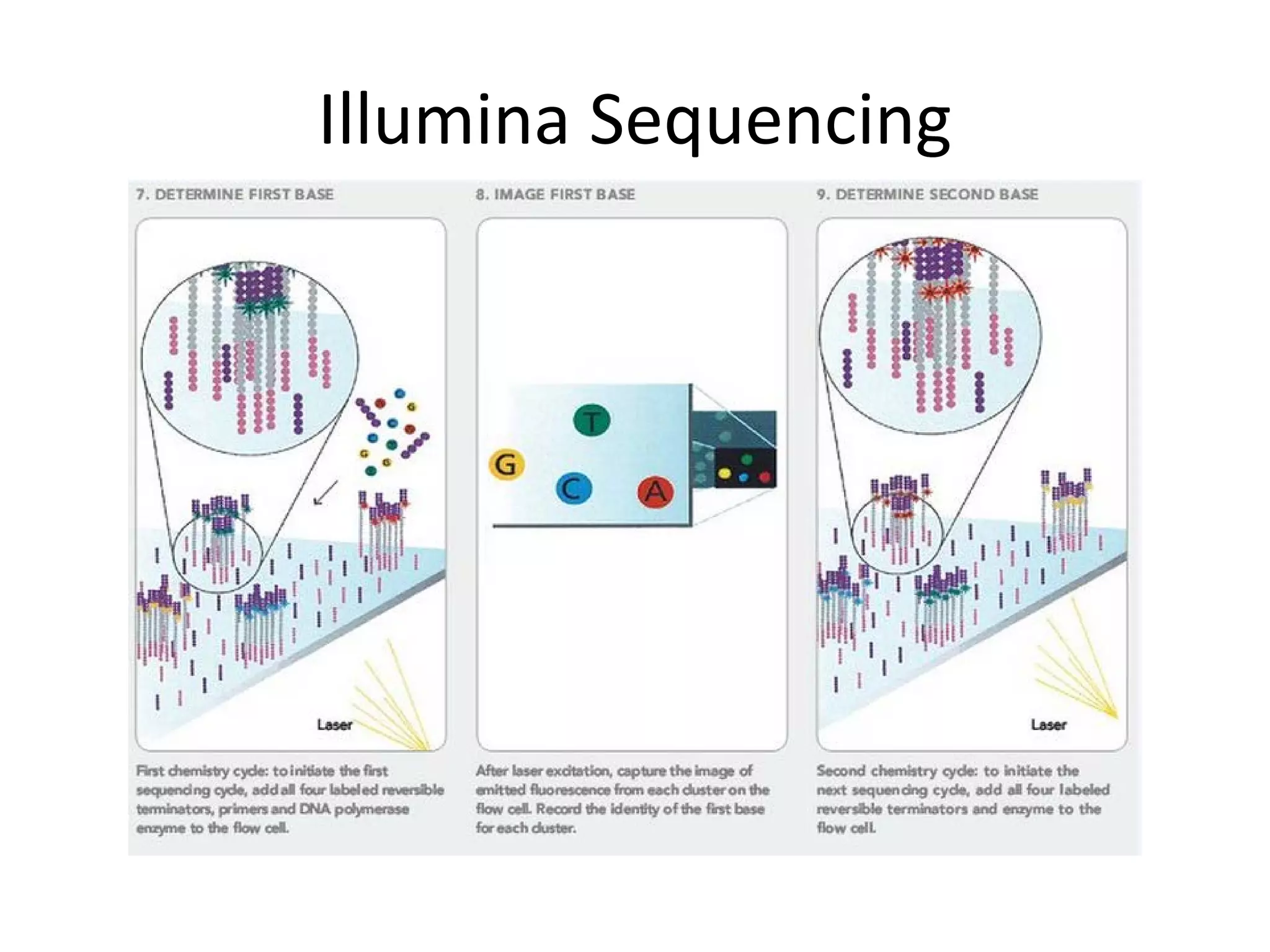 Introduction to Bioinformatics | PDF