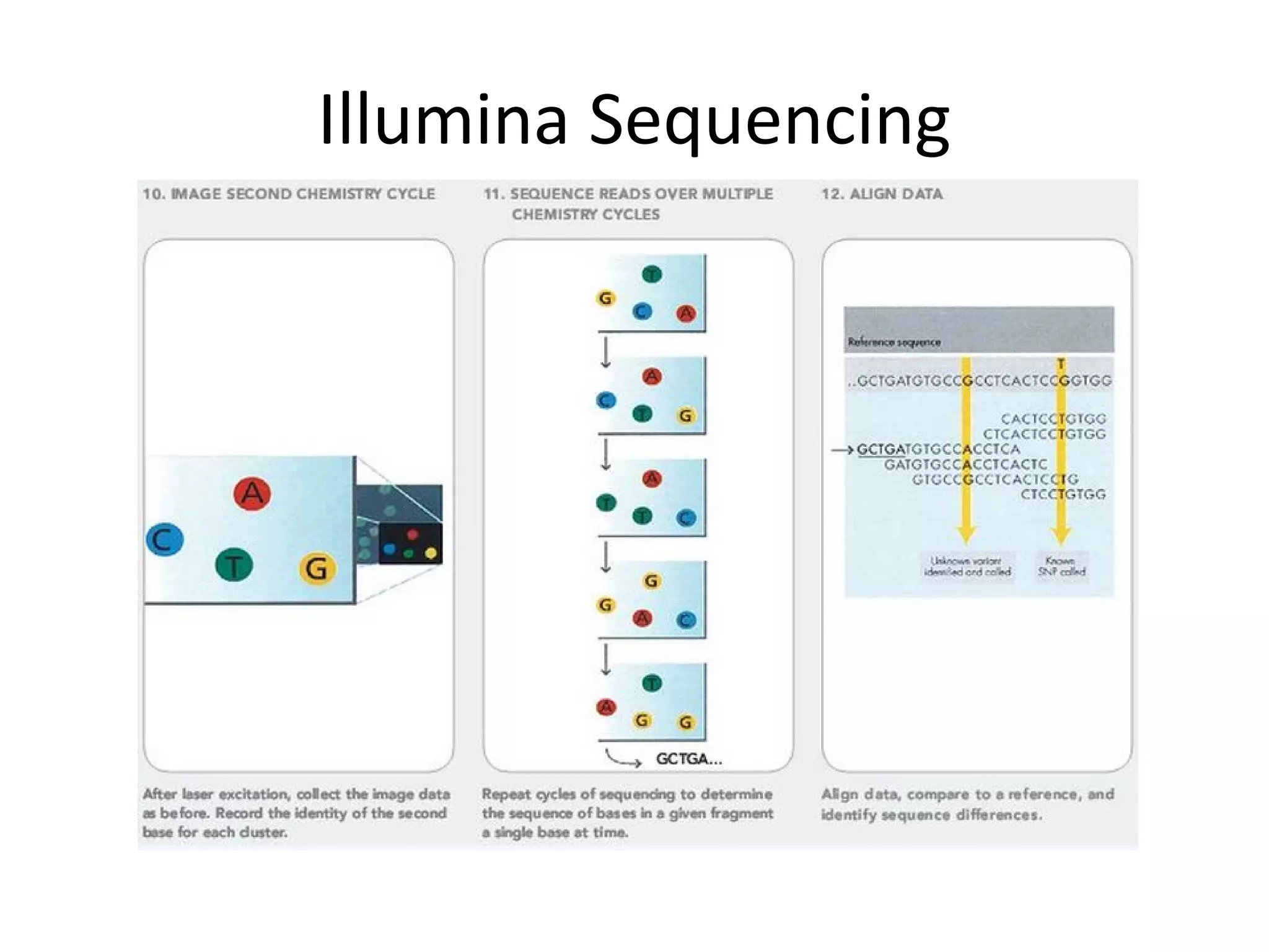 Introduction to Bioinformatics | PDF