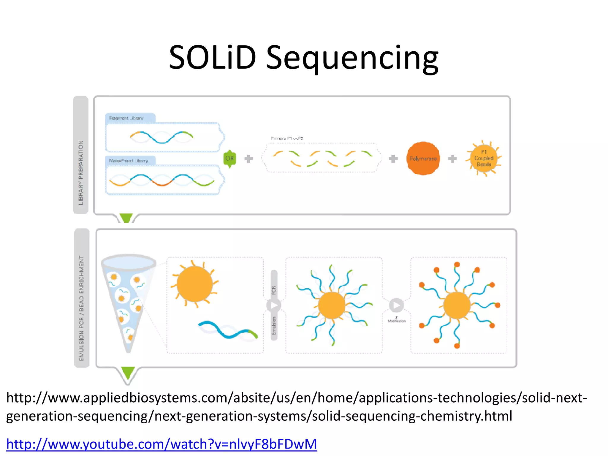 Introduction to Bioinformatics | PDF
