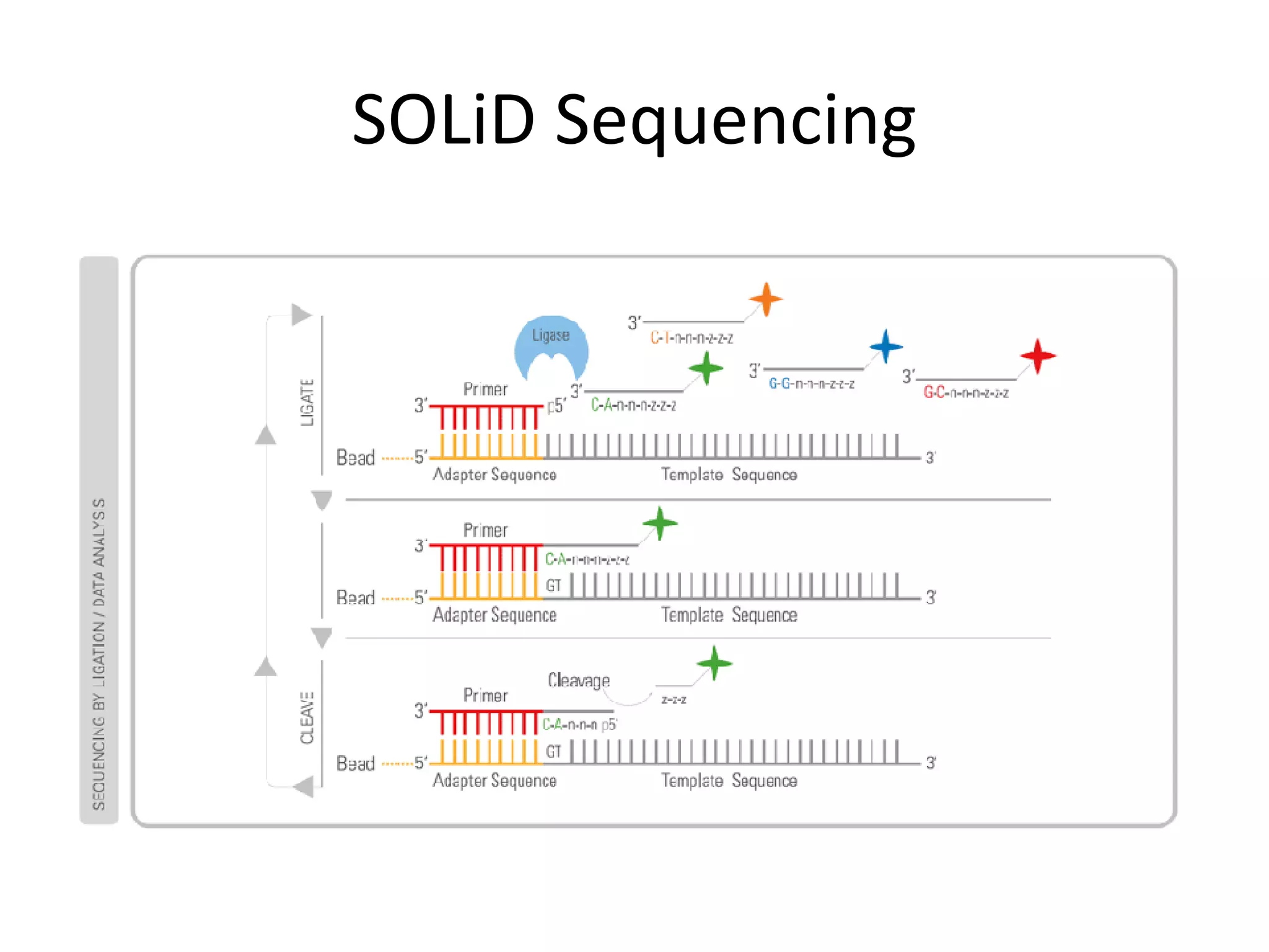 Introduction to Bioinformatics | PDF