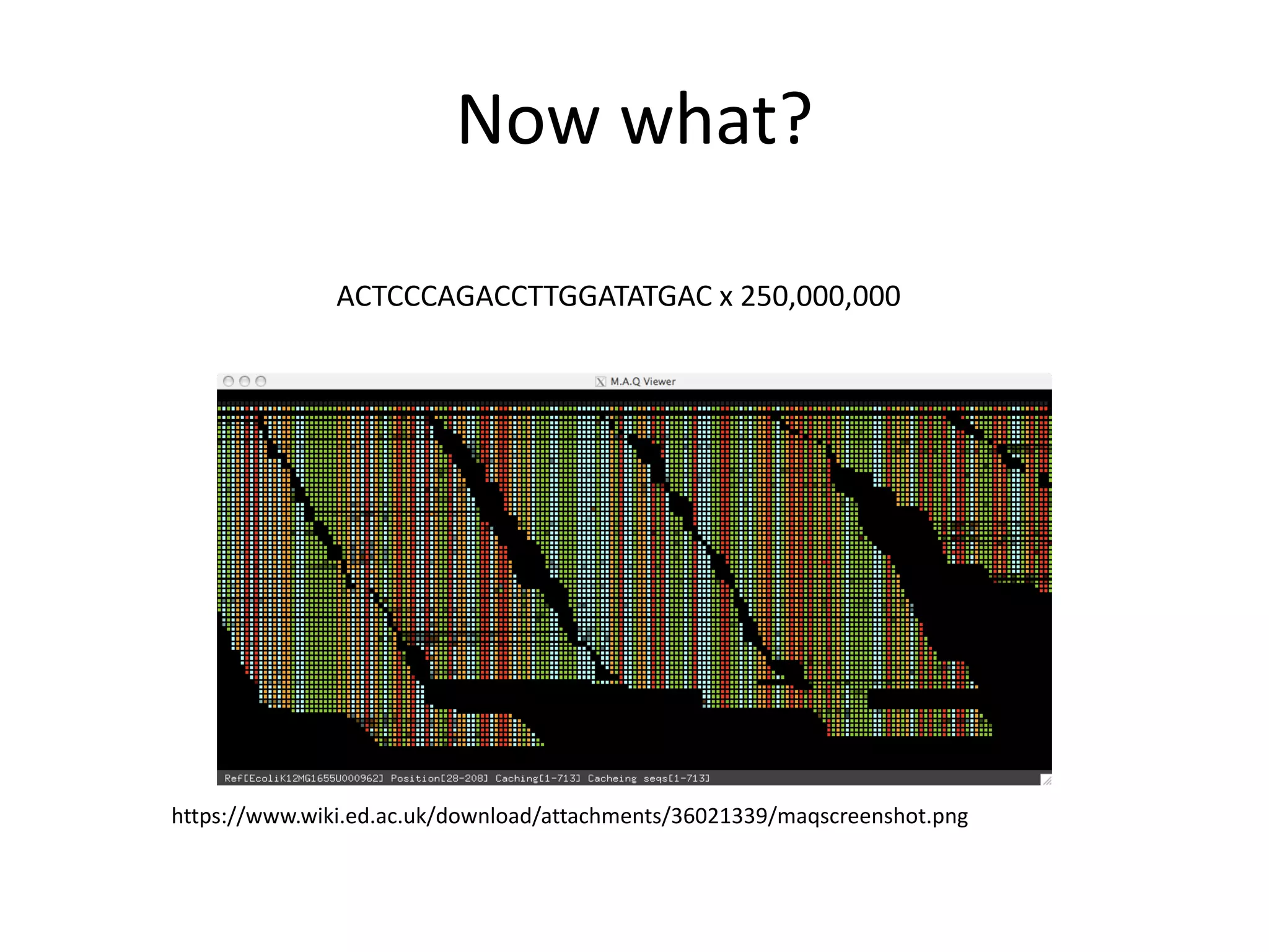 Introduction to Bioinformatics | PDF