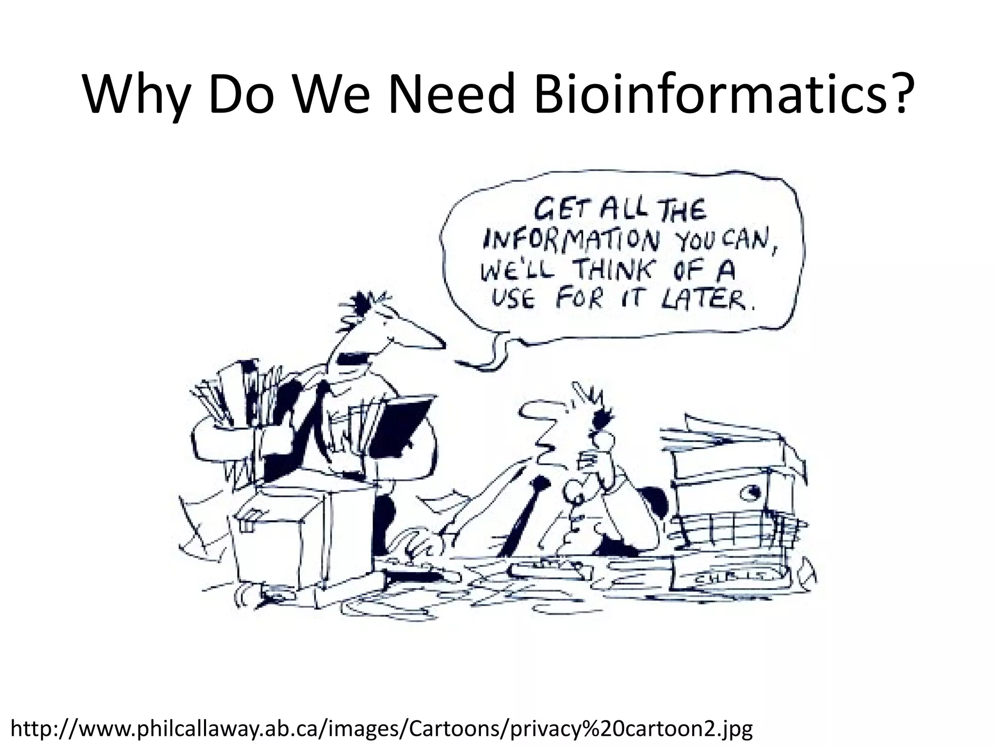 Introduction to Bioinformatics | PDF