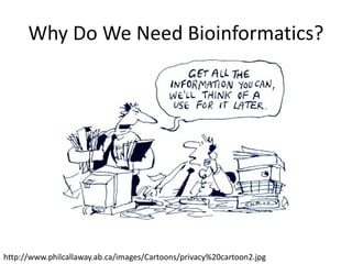 Introduction to Bioinformatics | PDF