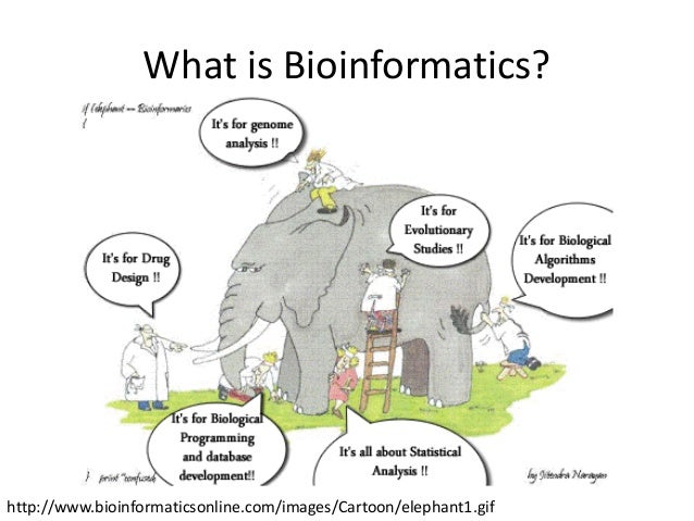Introduction to Bioinformatics